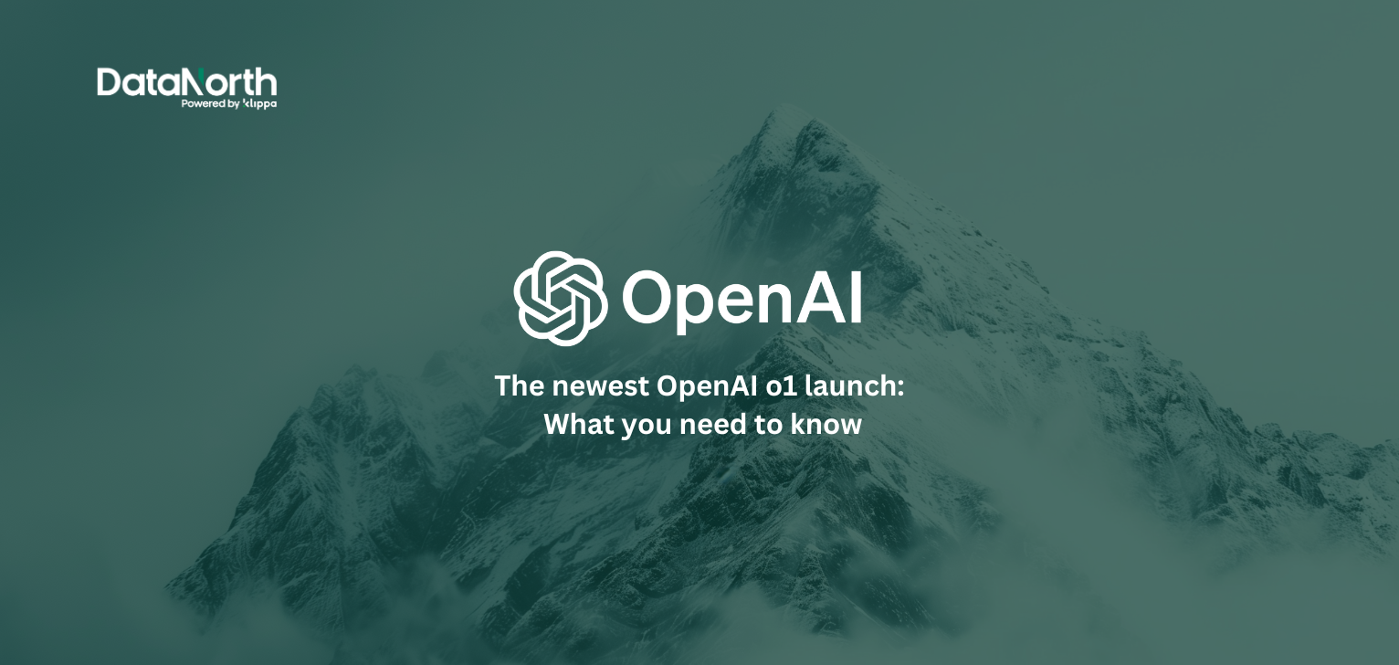 OpenAI o1: How the new Models Helps Your Organization