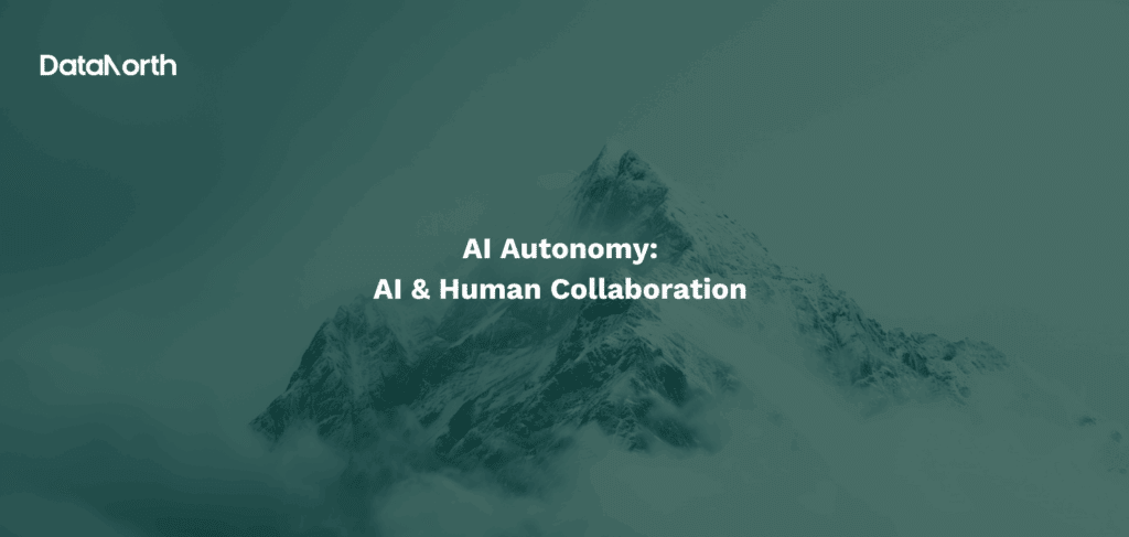 AI Model Training: How to train an AI model? - DataNorth