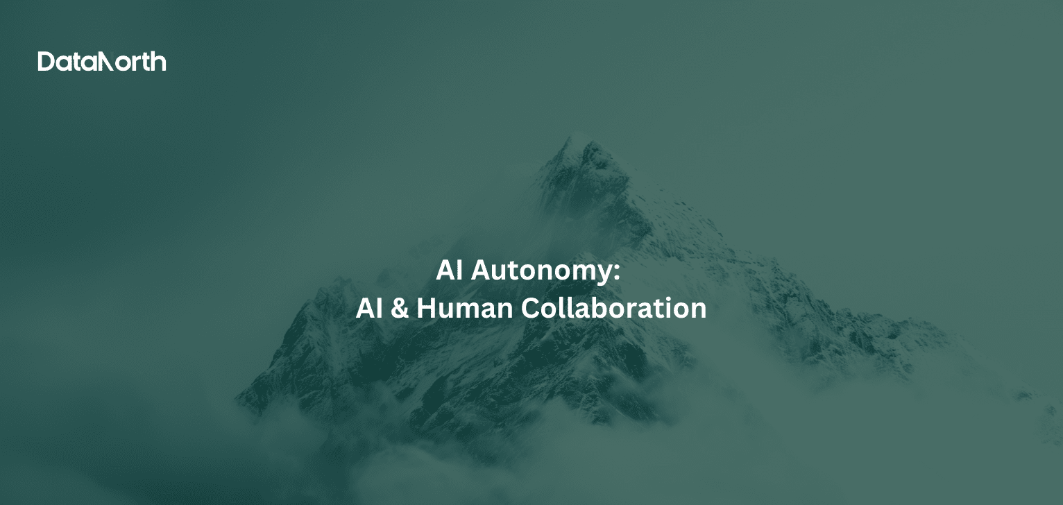 AI Model Training: How to train an AI model? - DataNorth