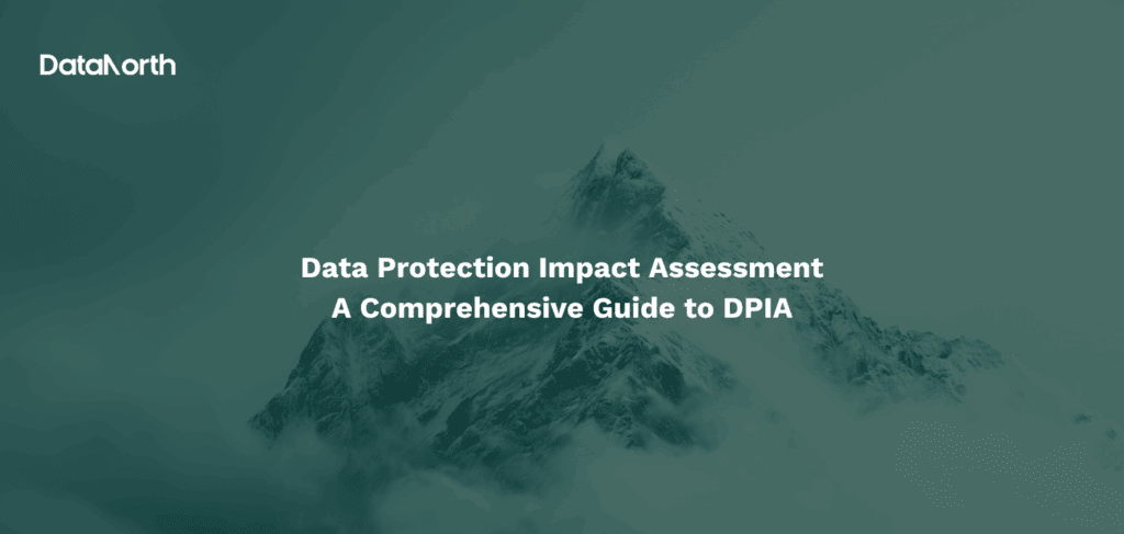Comprehensive guide to the Data Protection Impact Assessment