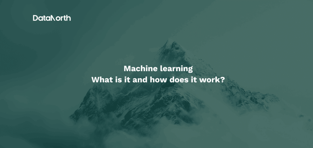 Top 10 AI Newsletters You Should Follow For 2025 - DataNorth