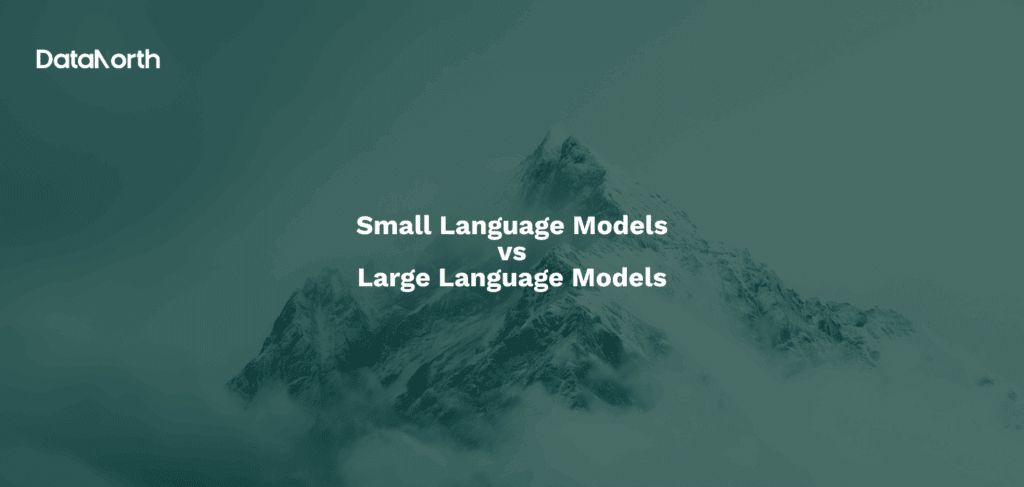 Small language models vs LLM - DataNorth AI