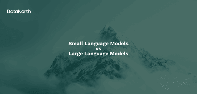 Small language models vs LLM - DataNorth AI