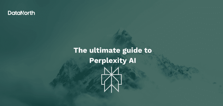 The ultimate guide to Perplexity AI - DataNorth AI